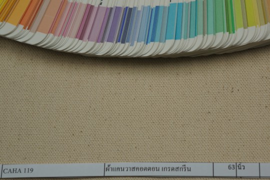 ผ้าแคนวาส Canvas - TNC Textile